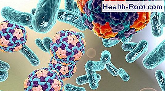 Envenenamiento de la sangre (sepsis) 🏥 La Enfermedad, Los Síntomas, El ...